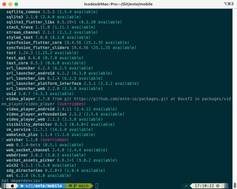 手机照片/图库开源备份解决方案 Ente Photo 系列教程：构建手机客户端应用 - EVLIT